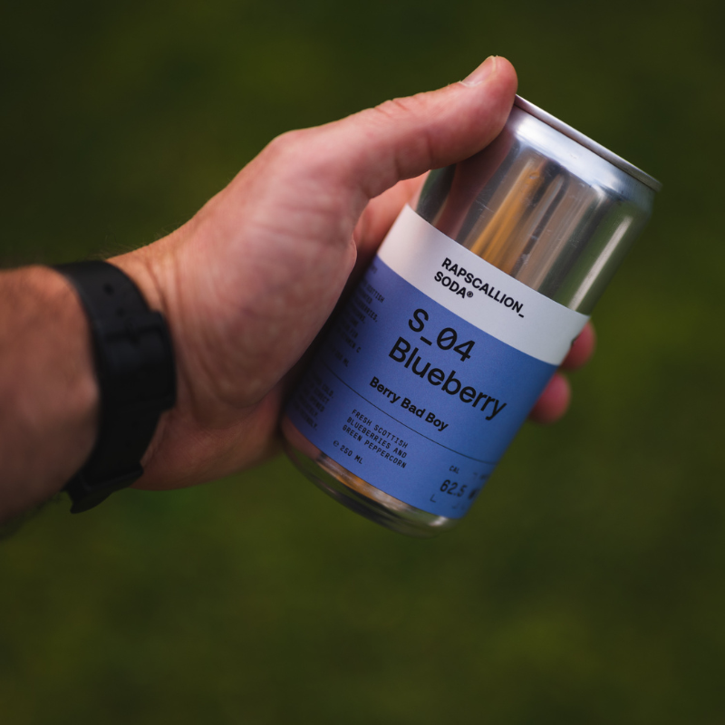 Rapscallion Soda | Made in Scotland | Buy Adult Soft Drinks UK ...