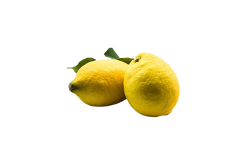 Rapscallion Soda | Made in Scotland | Buy Adult Soft Drinks UK ...