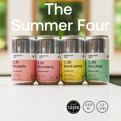 Rapscallion Soda | Made in Scotland | Buy Adult Soft Drinks UK ...