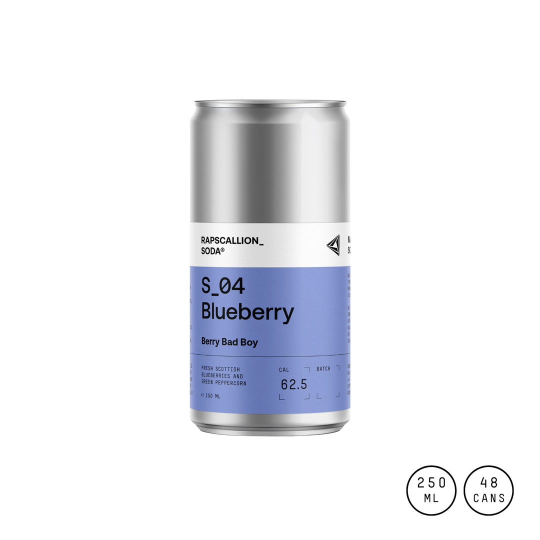 Blueberry Soda 48 – RAPSCALLION_SODA