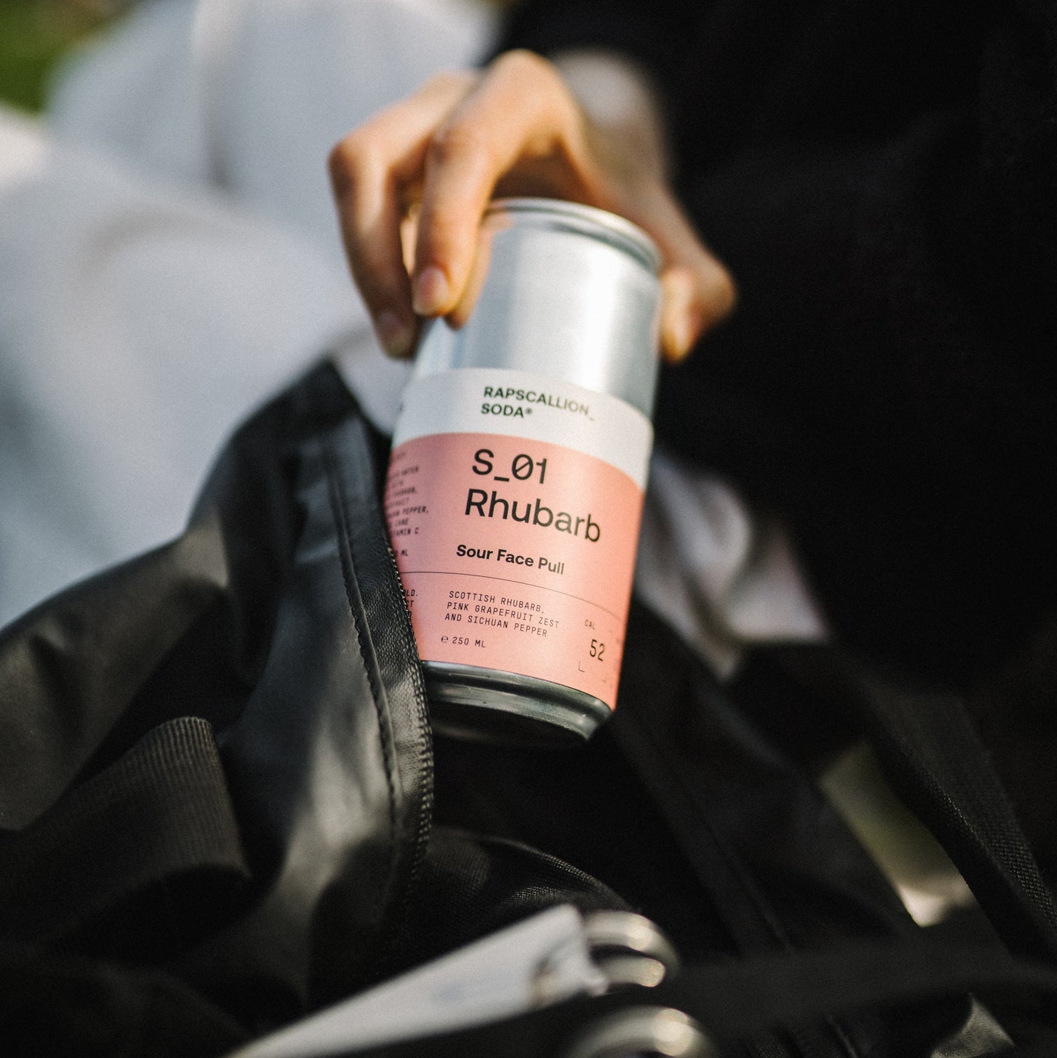 Rapscallion Soda | Made in Scotland | Buy Adult Soft Drinks UK ...