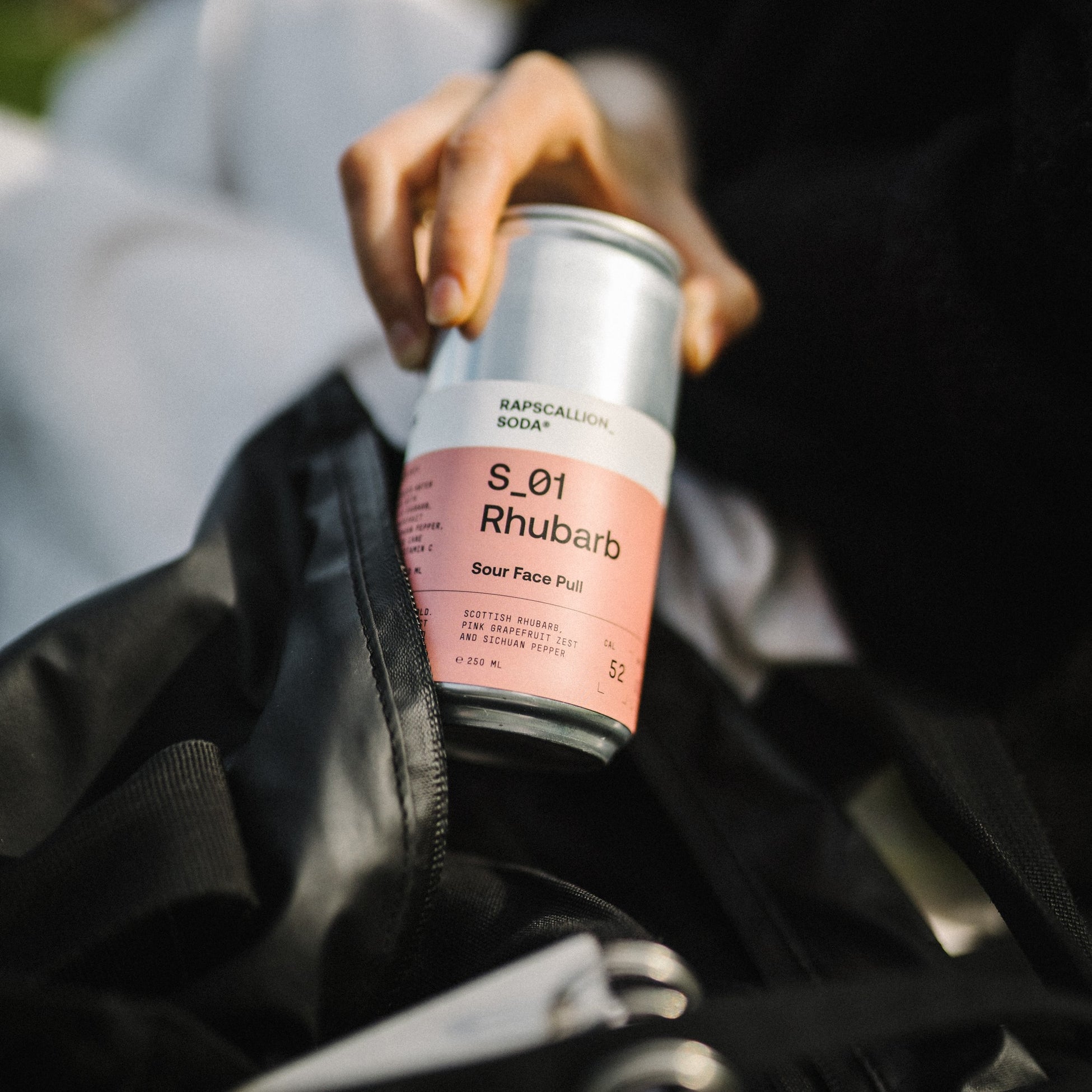 Rapscallion Soda | Made in Scotland | Buy Adult Soft Drinks UK ...