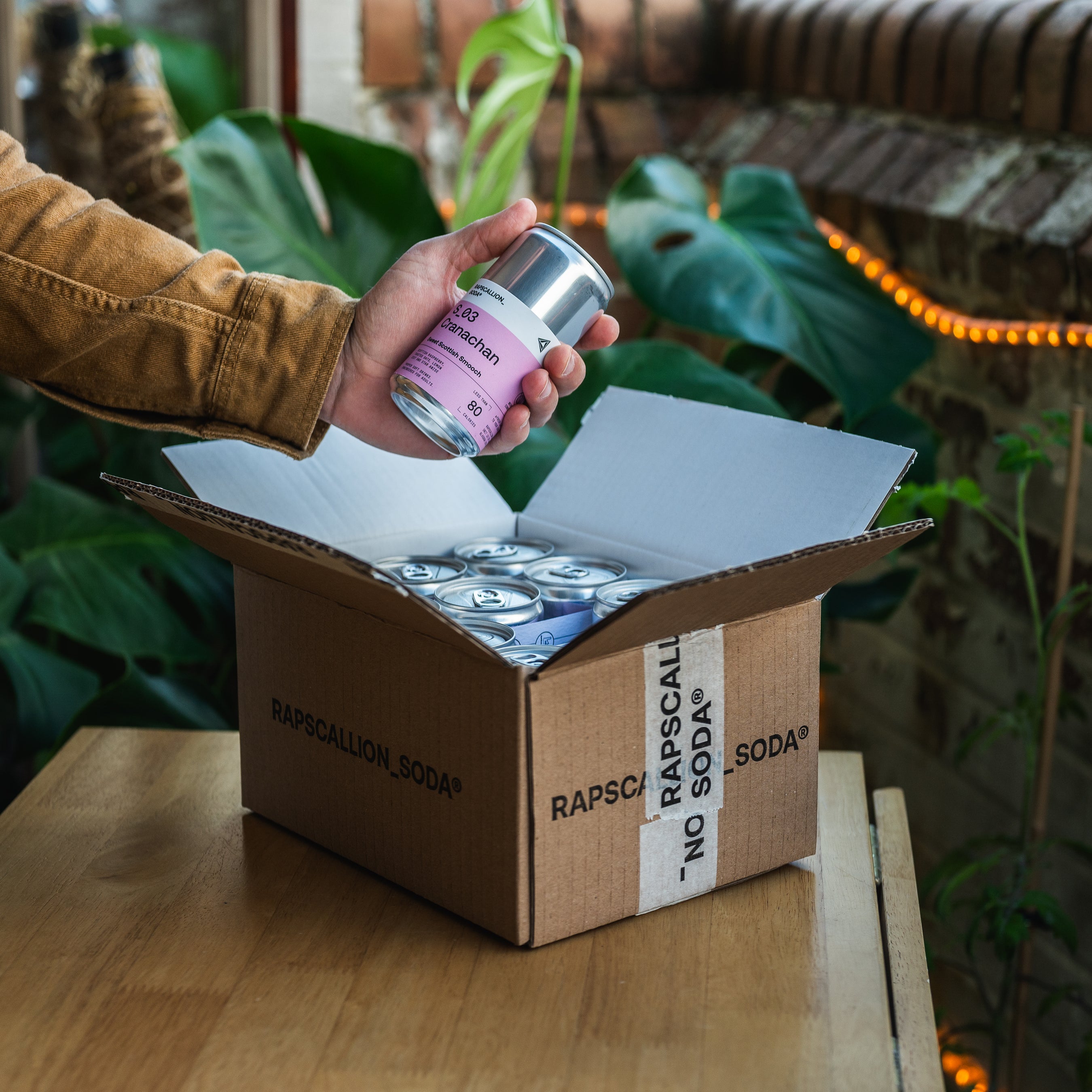 Rapscallion Soda | Made in Scotland | Buy Adult Soft Drinks UK ...
